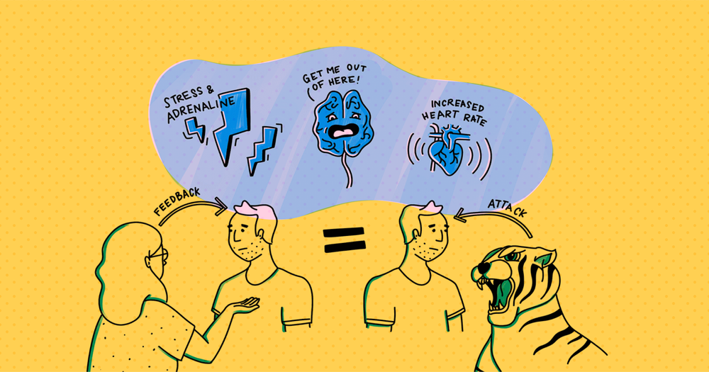 How to use the Situation-Behavior-Impact model to give negative feedback?
